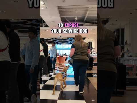 Critical Service Dog Training Tip‼️