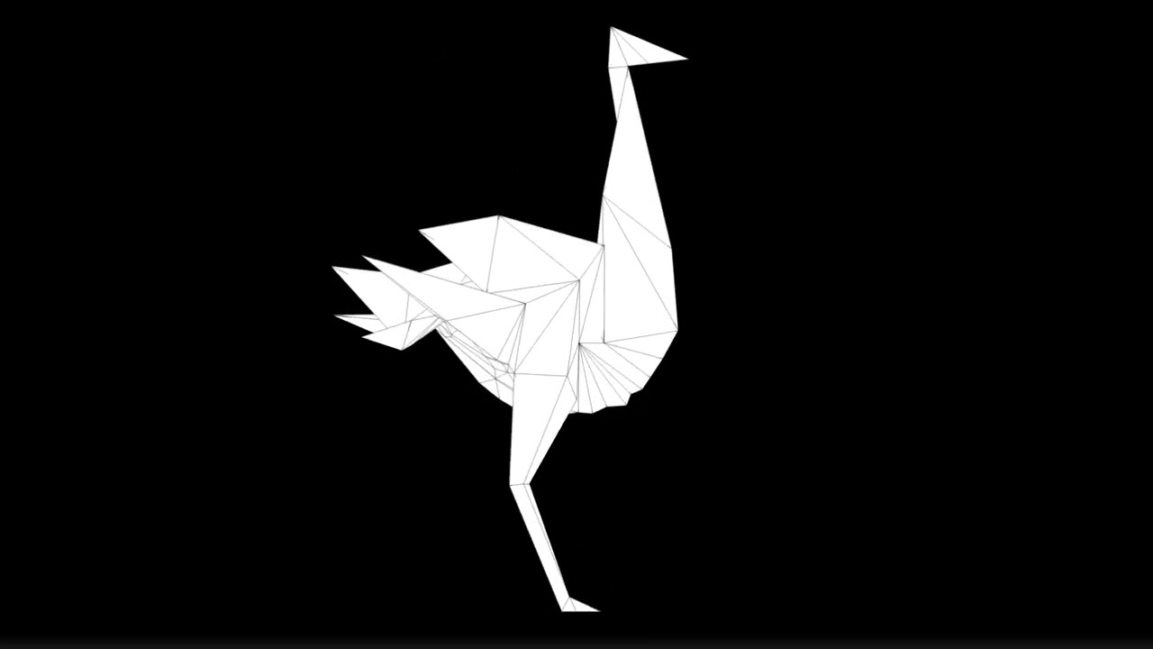 ostrich wireframe