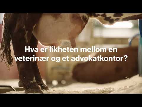 Alle bedrifter må levere skattemeldingen seneste 31. mai
