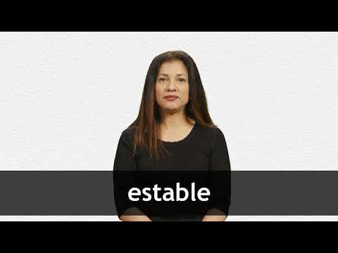 English Translation of “ESTABLE” | Collins Spanish-English Dictionary