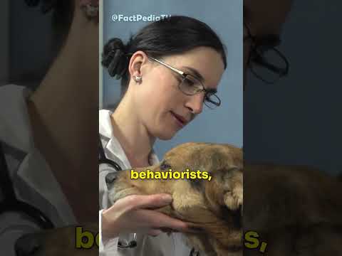 🐶 Decode Your Dog's Sneezes: Playtime Revelations!