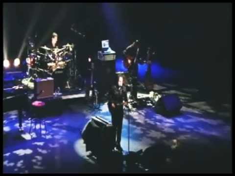 THE D PROJECT discography and reviews