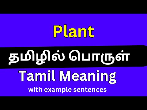 Plant meaning in Tamil/ Plant தமிழில் பொருள்