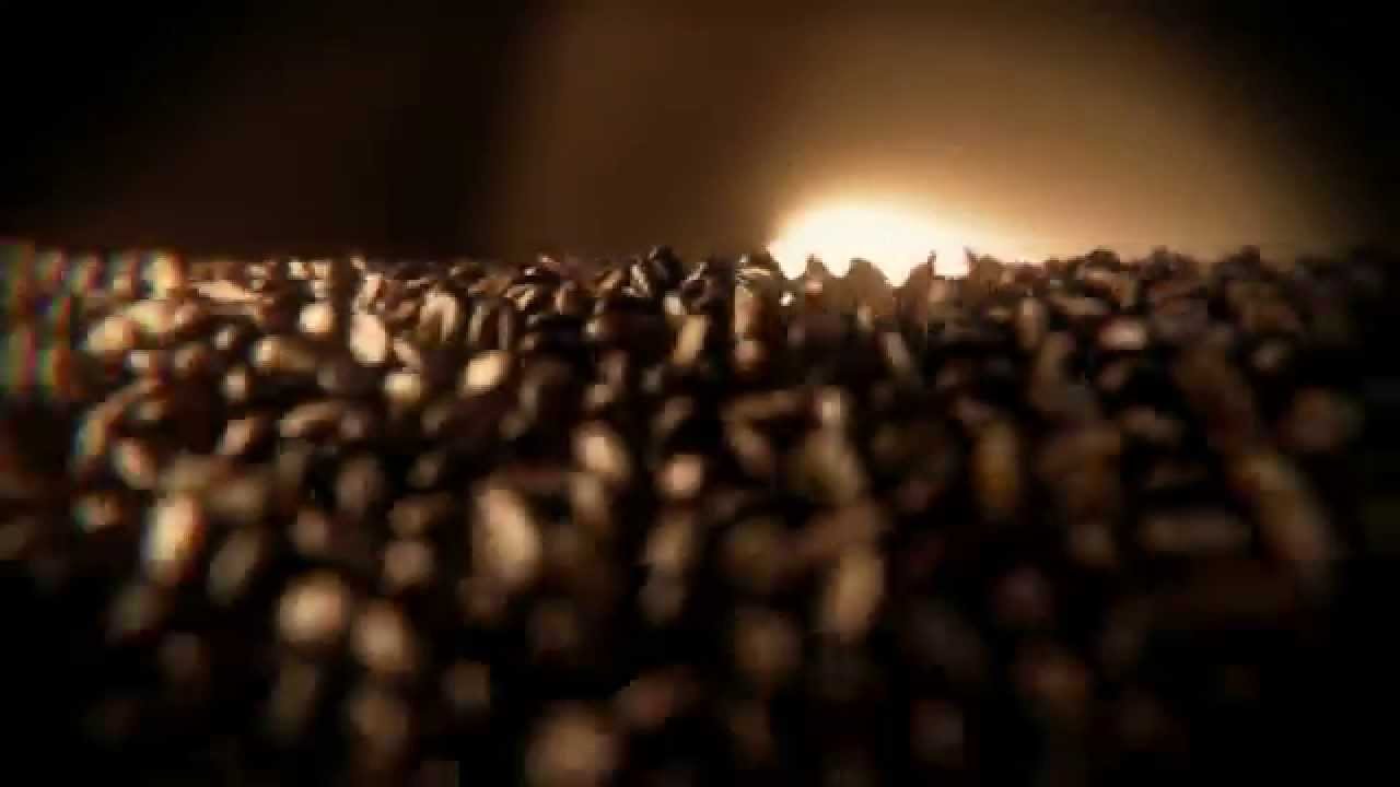 Magic coffee Beans V-ray 3D