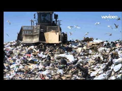Environmental Sanitation