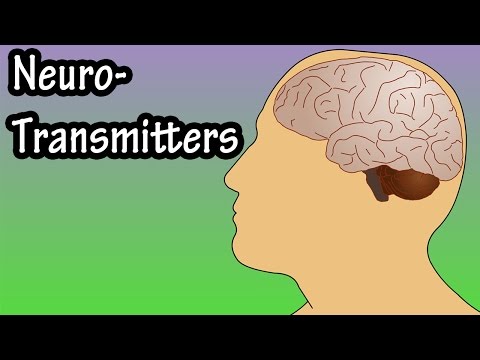 Neurotransmitters - What Are Neurotransmitters And What Do They Do In The Body?