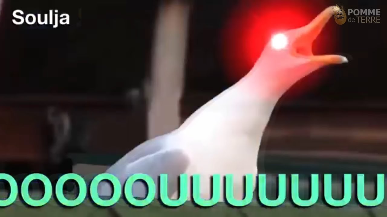 Inhaling Seagull Meme Compilation (2018)