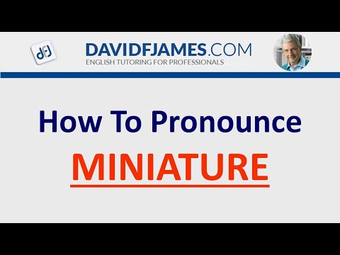 How to Pronounce MINIATURE (3 Syllables)