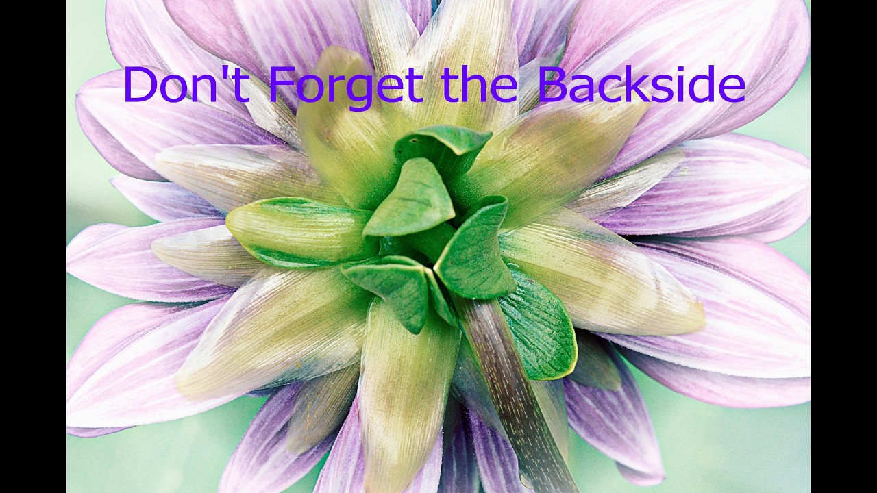 Expand Your Flower Photo Portfolio - See How