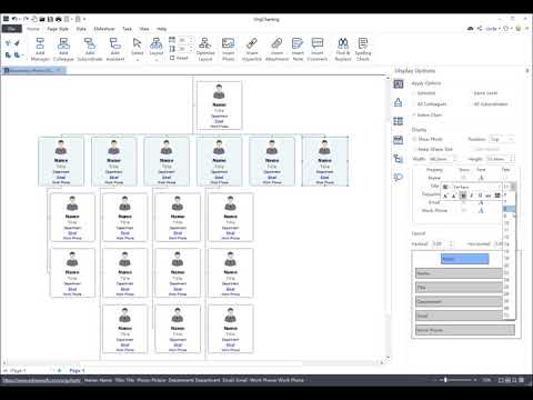 OrgCharting - How to Change the Content Displaying on the Shapes