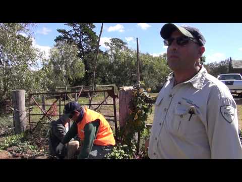 NCDFREE Sowing Seeds: Global Health Short Film