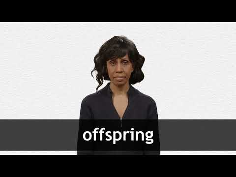 OFFSPRING definition in American English | Collins English Dictionary