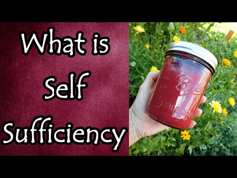 What is Self Sufficiency