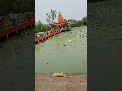 jamni sarovar #trending #minivlog #viralshort #blog