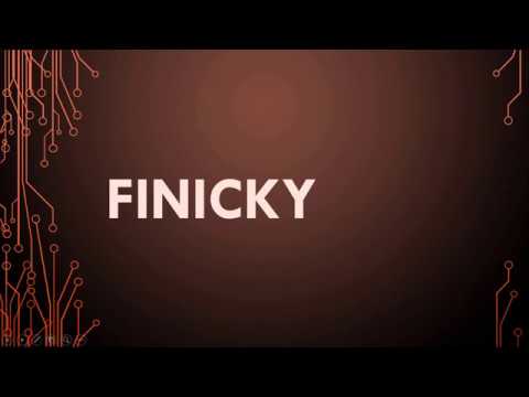 Finicky Meaning, Finicky Definition and Finicky Pronunciation