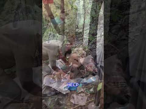 The woman who chained HERSELF to a tree