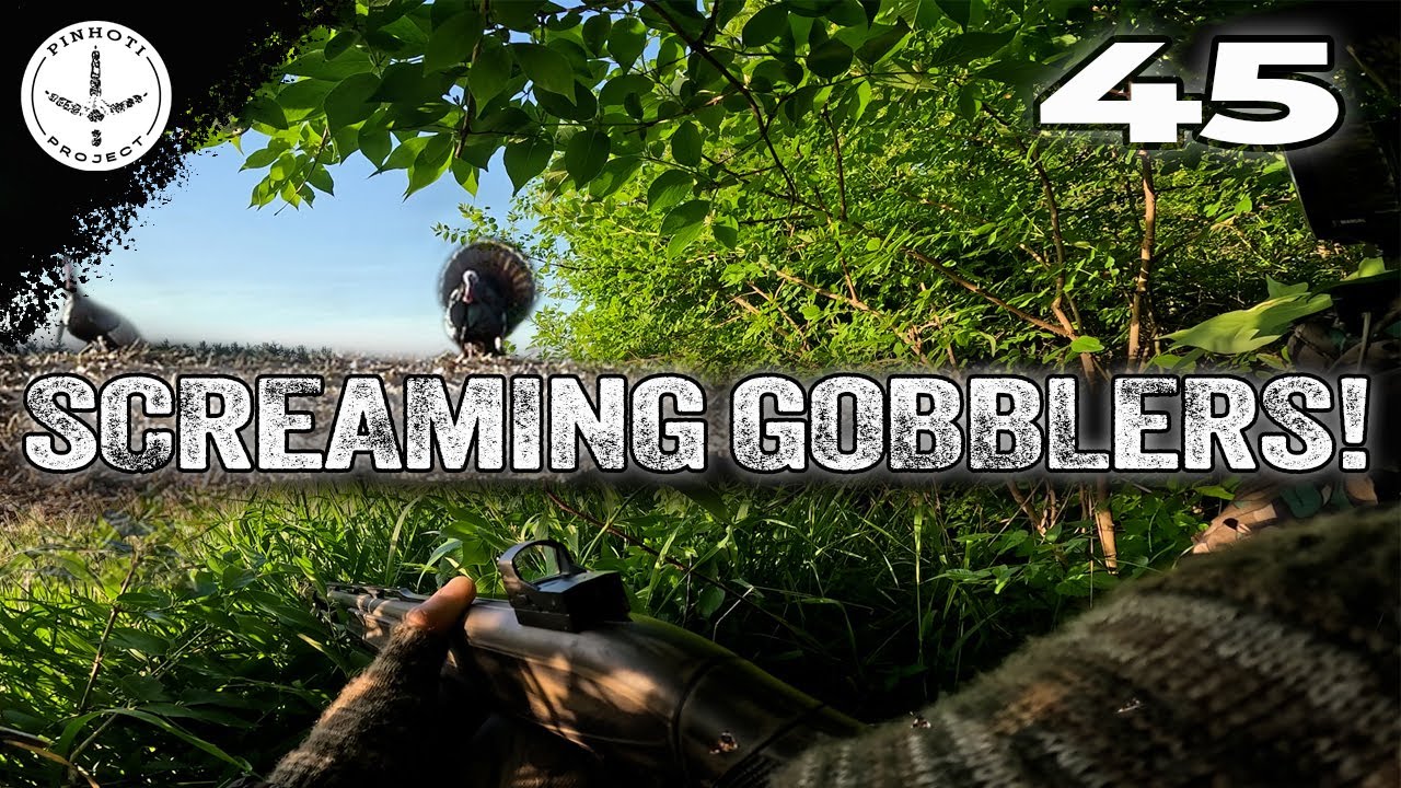 FINDING GOOD TURKEYS | HARD GOBBLING LATE SEASON LONGBEARDS | UNCOMPROMISING LINE in DISTANCE