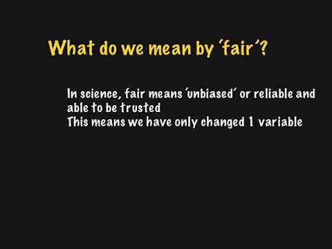Fair Testing