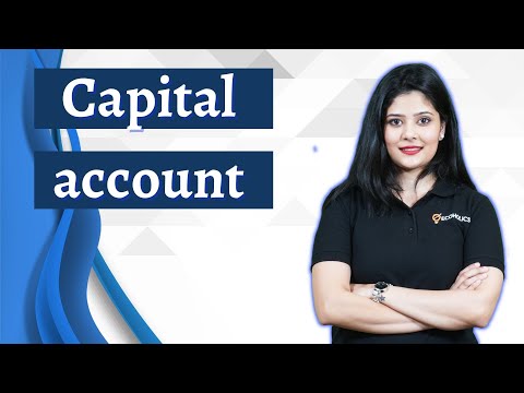 Capital Account | Meaning, Components, Surplus, Deficit Explained | BOP | Ecoholics