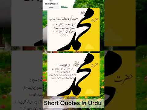 Islamic Quotes || Deep lines || Golden words || urdu quote || interesting fact || #shorts #quoates