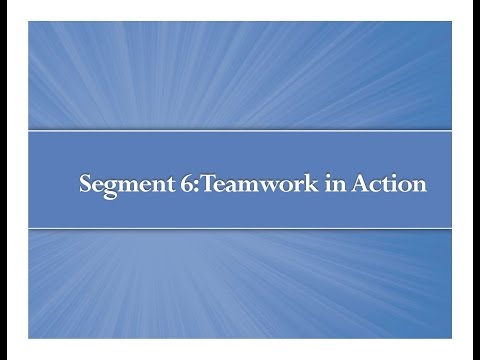 Module 1, Segment 6: Teamwork In Action