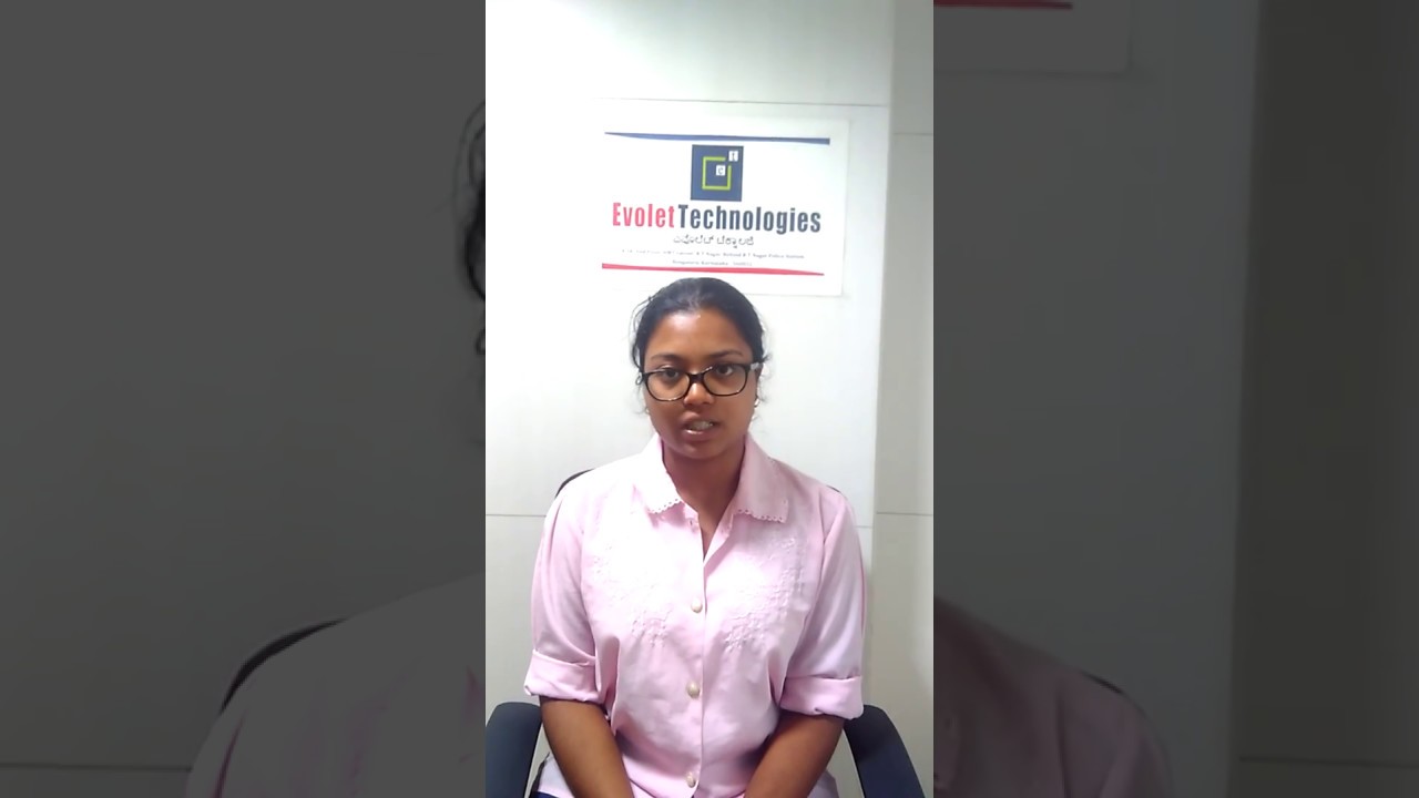 Evolet Technologies Python Internship
