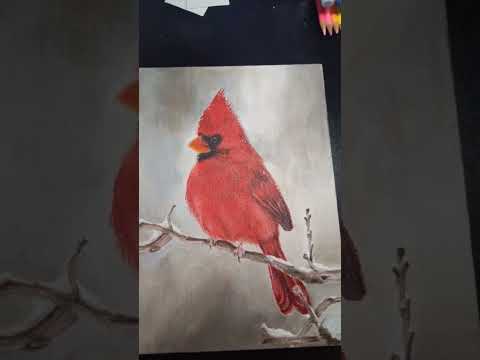 New Cardinal Painting #art #shorts #painting #cardinals #drawing #paint #artist #learnwithme #new