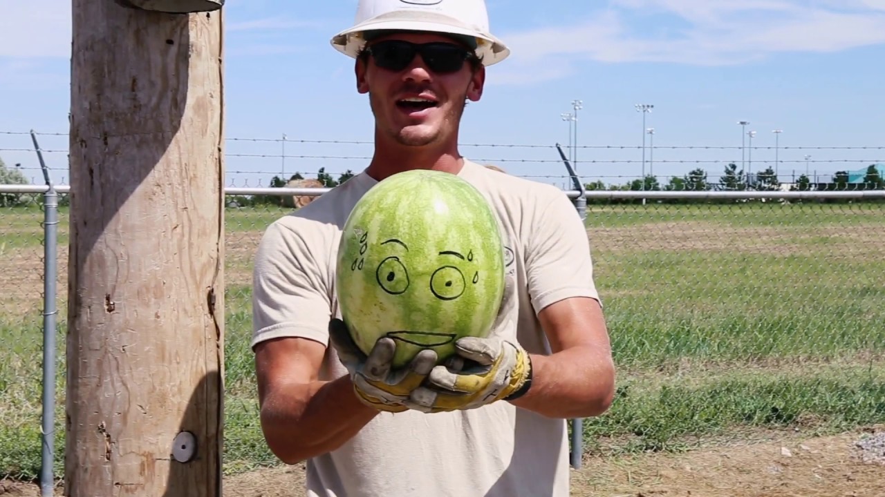 Hard Hat Safety Demonstration