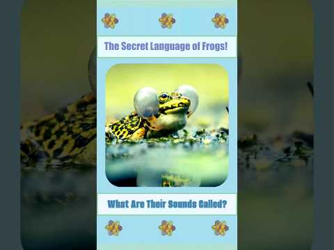 The Surprising Name of a Frog's Voice Revealed!