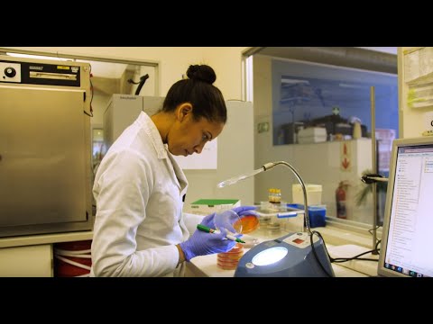Listeria Outbreak South Africa: Bio-Rad and Microchem's Collaboration