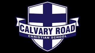 Binary Ideas Local Marketing Reviews and Clients | DesignRush