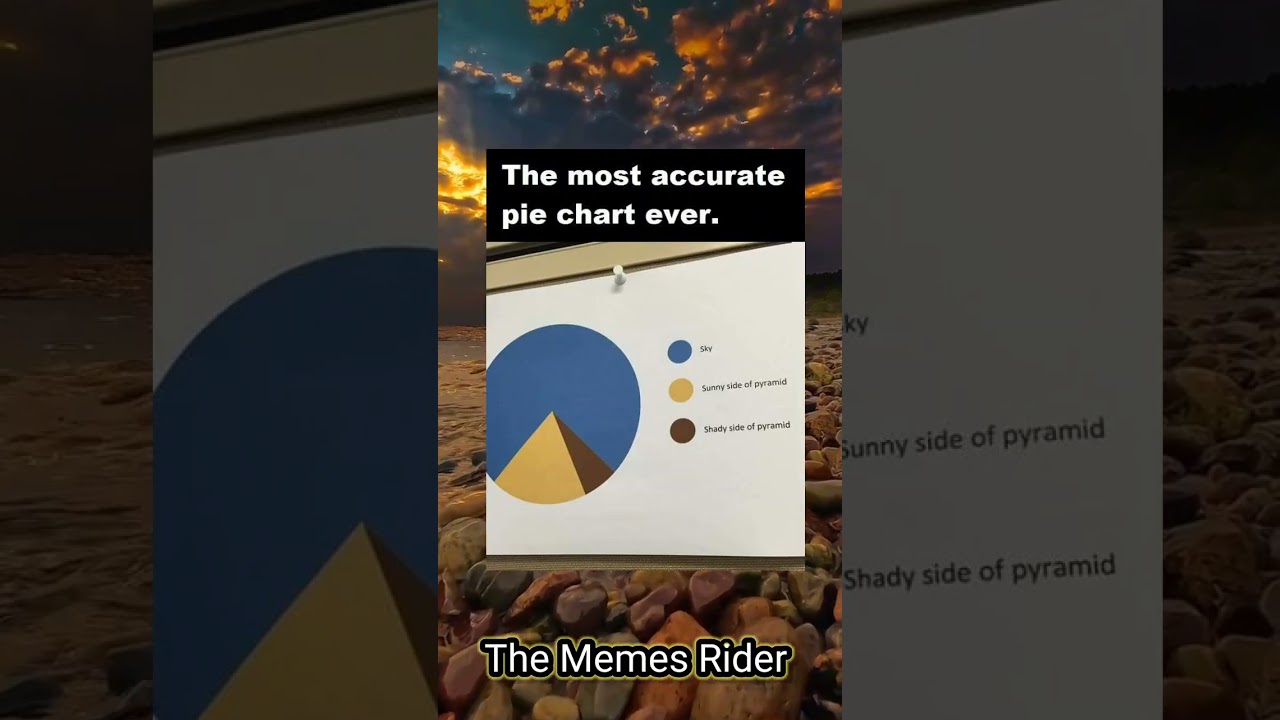 the most accurate pie chart ever