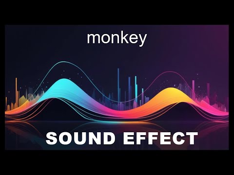 Monkey Sound Effects - HD SFX 🎧