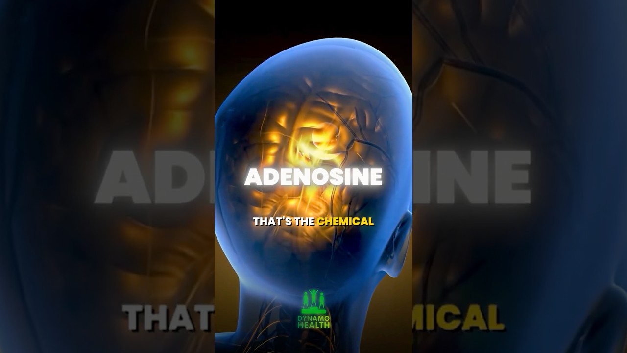 Caffeine Withdrawal Hits HARD (Science Explained)