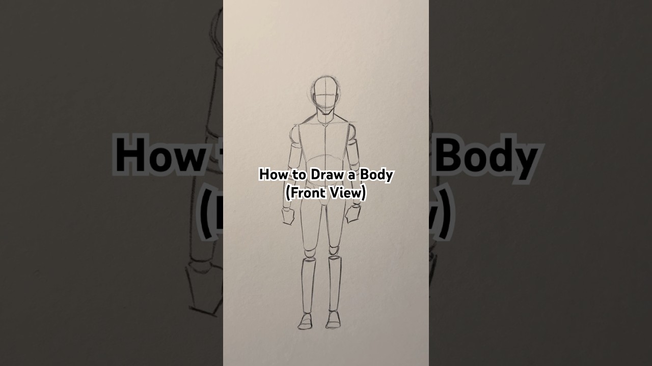 How to Draw a Body (Front View) #tutorial #howtodraw #sketch #draw #art #body #fyp #drawing