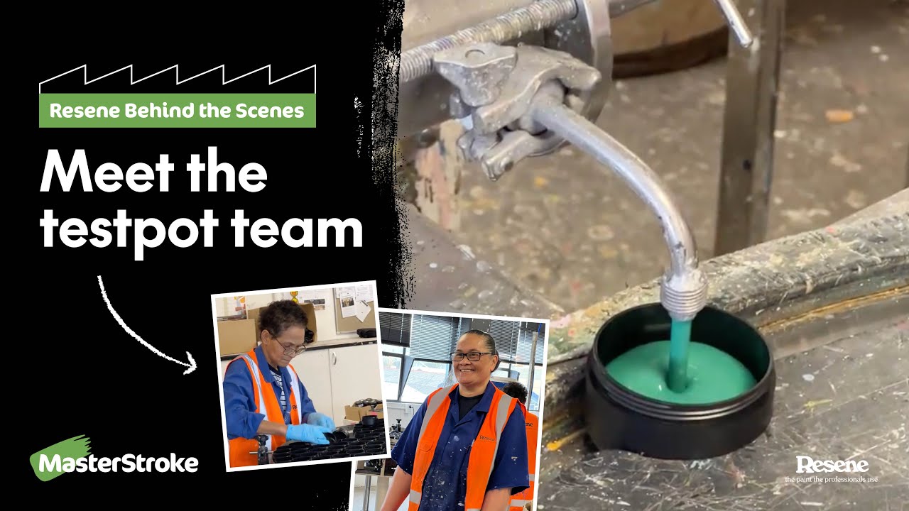 MasterStroke by Resene