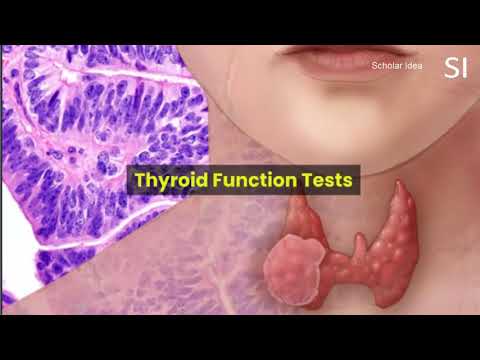 Thyroid Function Tests !!!