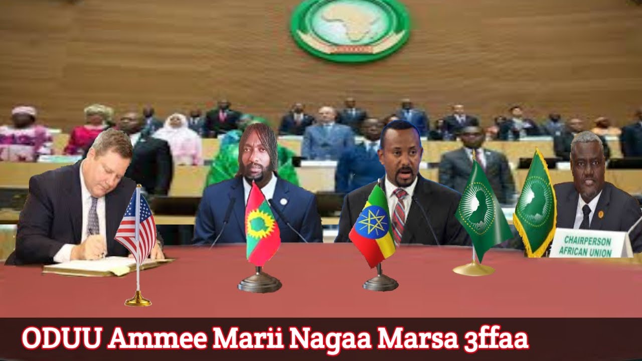 Marii nagaa marsaa 3ffa WBO fi Mootummaa Itoophiyaa @MilkeysaMedia