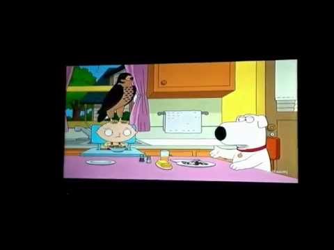 Family guy