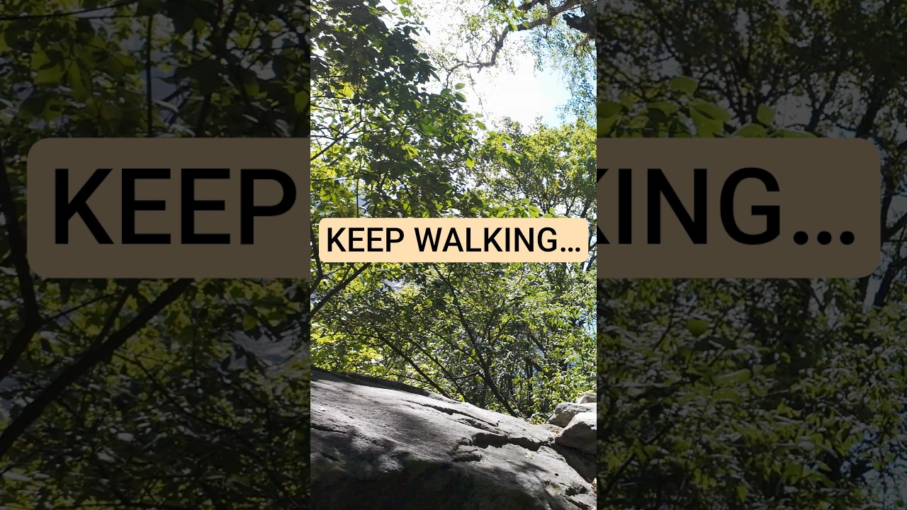 This Path Changes You  | Trekking in the Himalayas 🌲