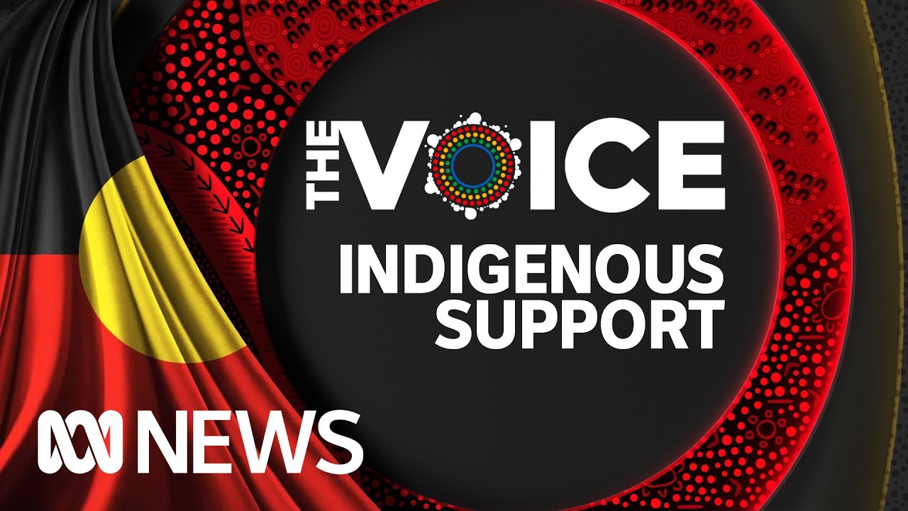 What do First Nations people think of the Voice? | Voice Referendum Explained | ABC News