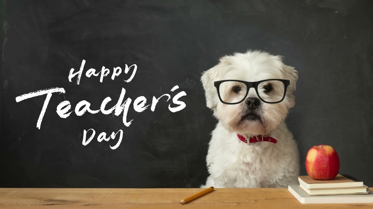 TV Art | Teachers' Day Screensaver | Frame TV Screensaver | Smart TV Background Art | 2 Hours