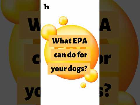 The Power of EPA: Enhancing CanineHealth with Omega-3 Fatty Acids