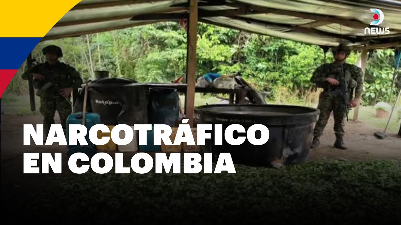 Golpe al narcotráfico en Colombia: el ejército destruye laboratorios de coca | DNews