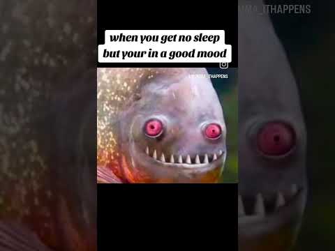 Happy Friday #funny #memes #nosleepmemes #newtoyoutube #shorts#mommaithappens #momlife