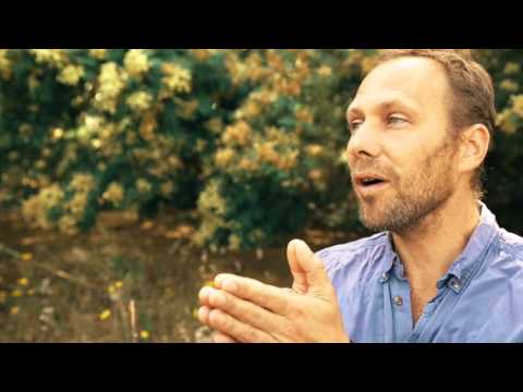 About – Free Love Community