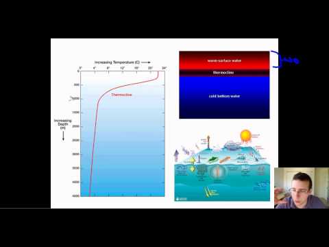 Ocean Water (Part 3): Temperature