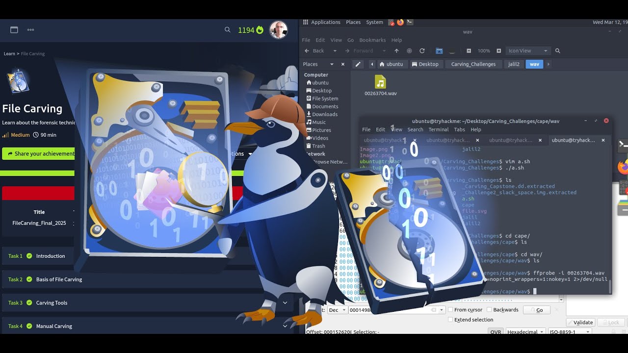 File Carving Mastery: Recover Deleted Files & Uncover Hidden Data! (TryHackMe Walkthrough)