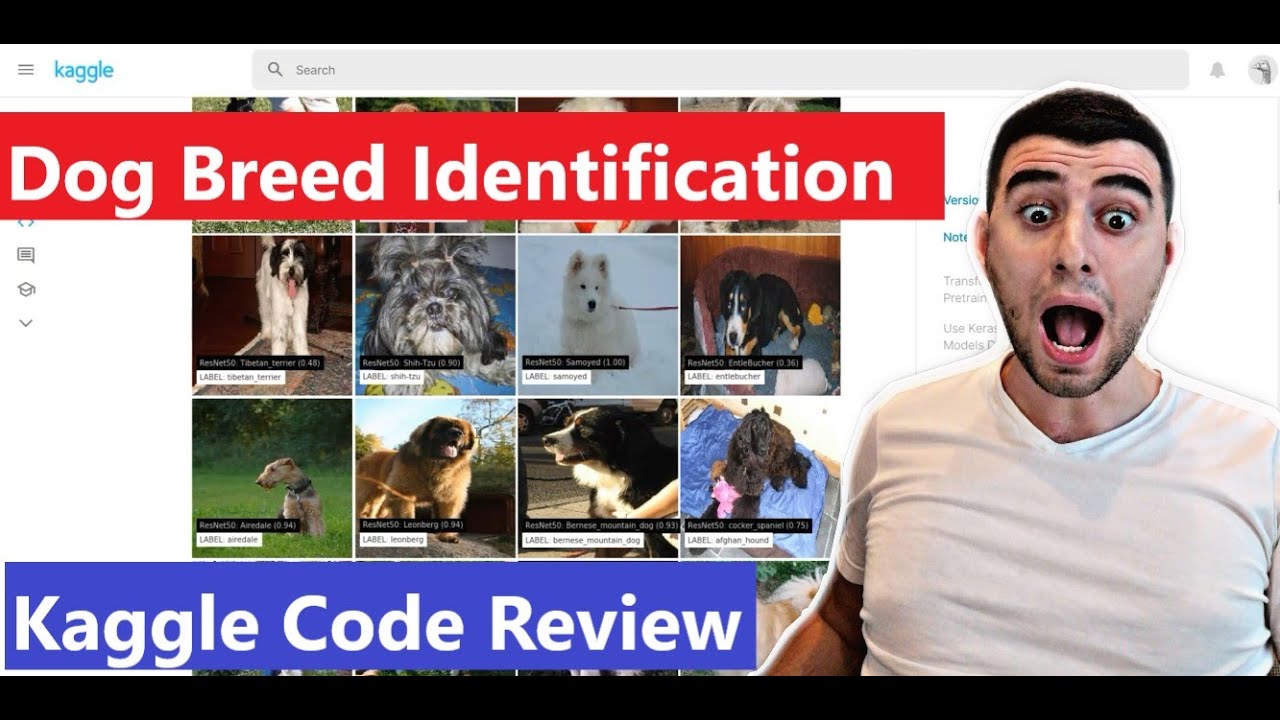 Dog Breed Identification | Kaggle Code Review