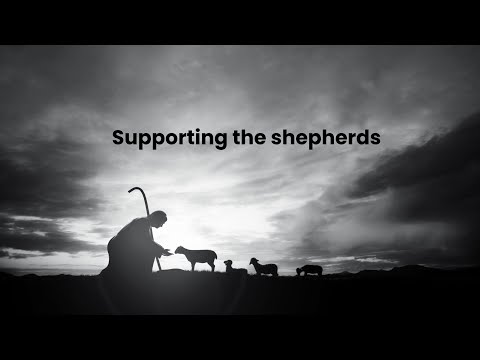 Practical Shepherding